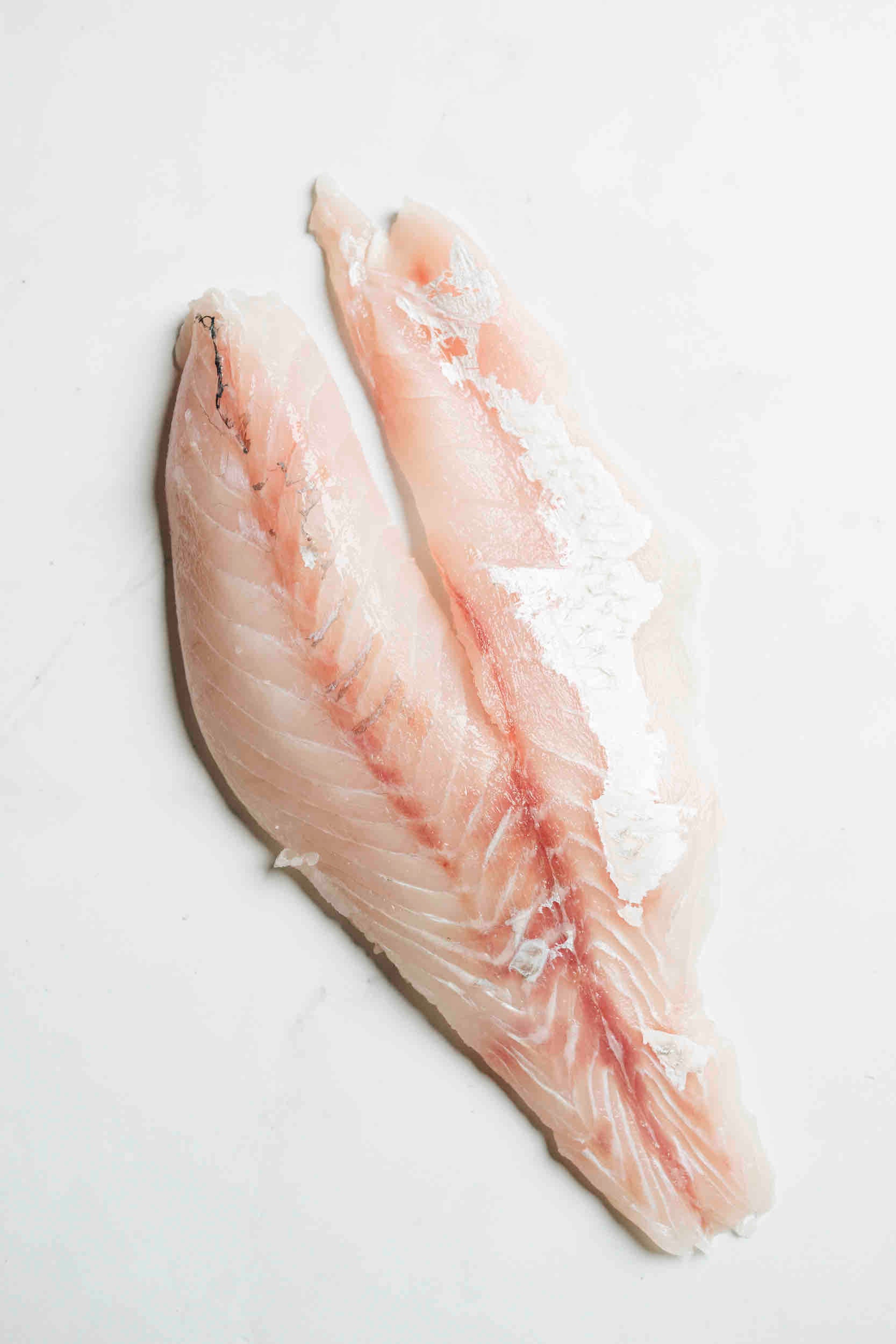 Mayoreo - Robalo – Capitán Marisco