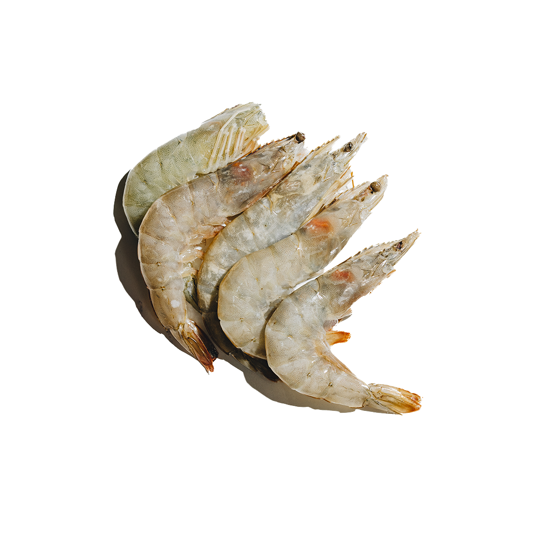 Camarón Jumbo 9 – Capitán Marisco