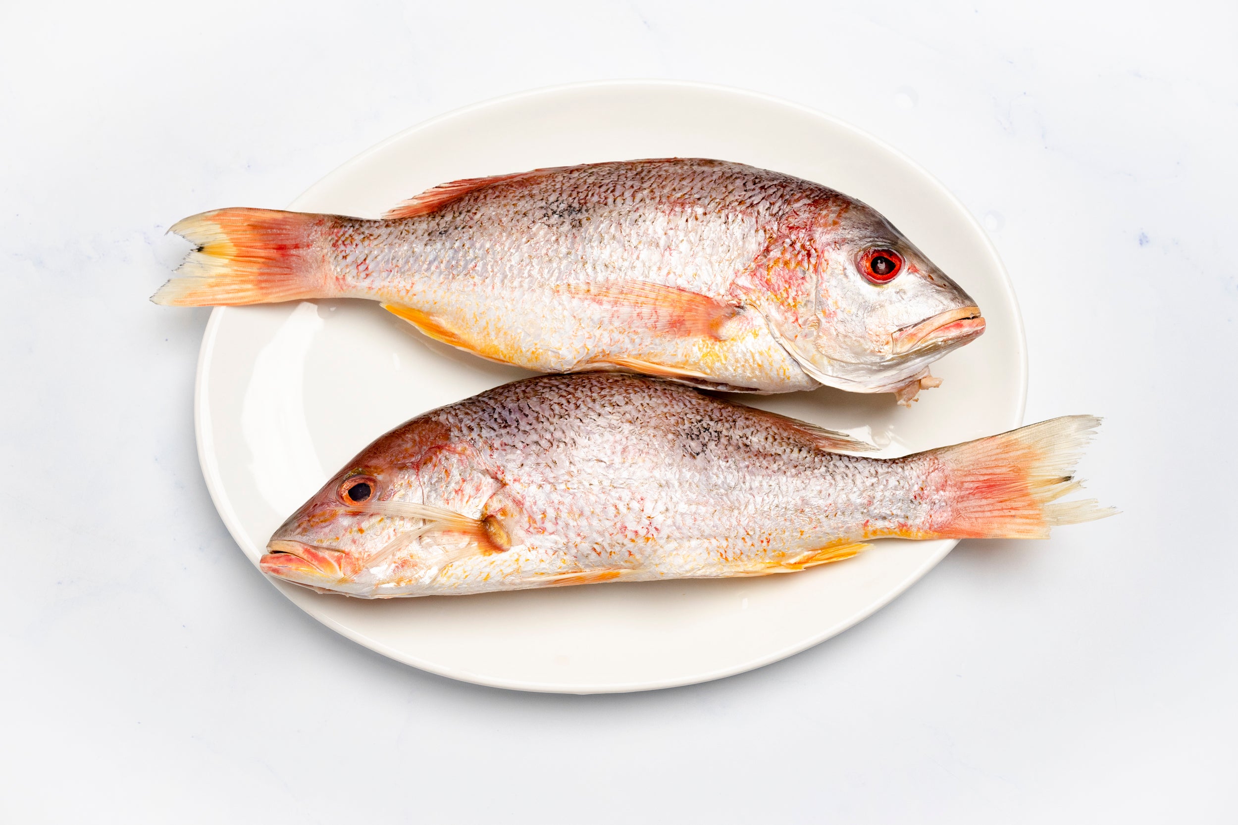 Catálogo de mariscos y filetes – Capitán Marisco